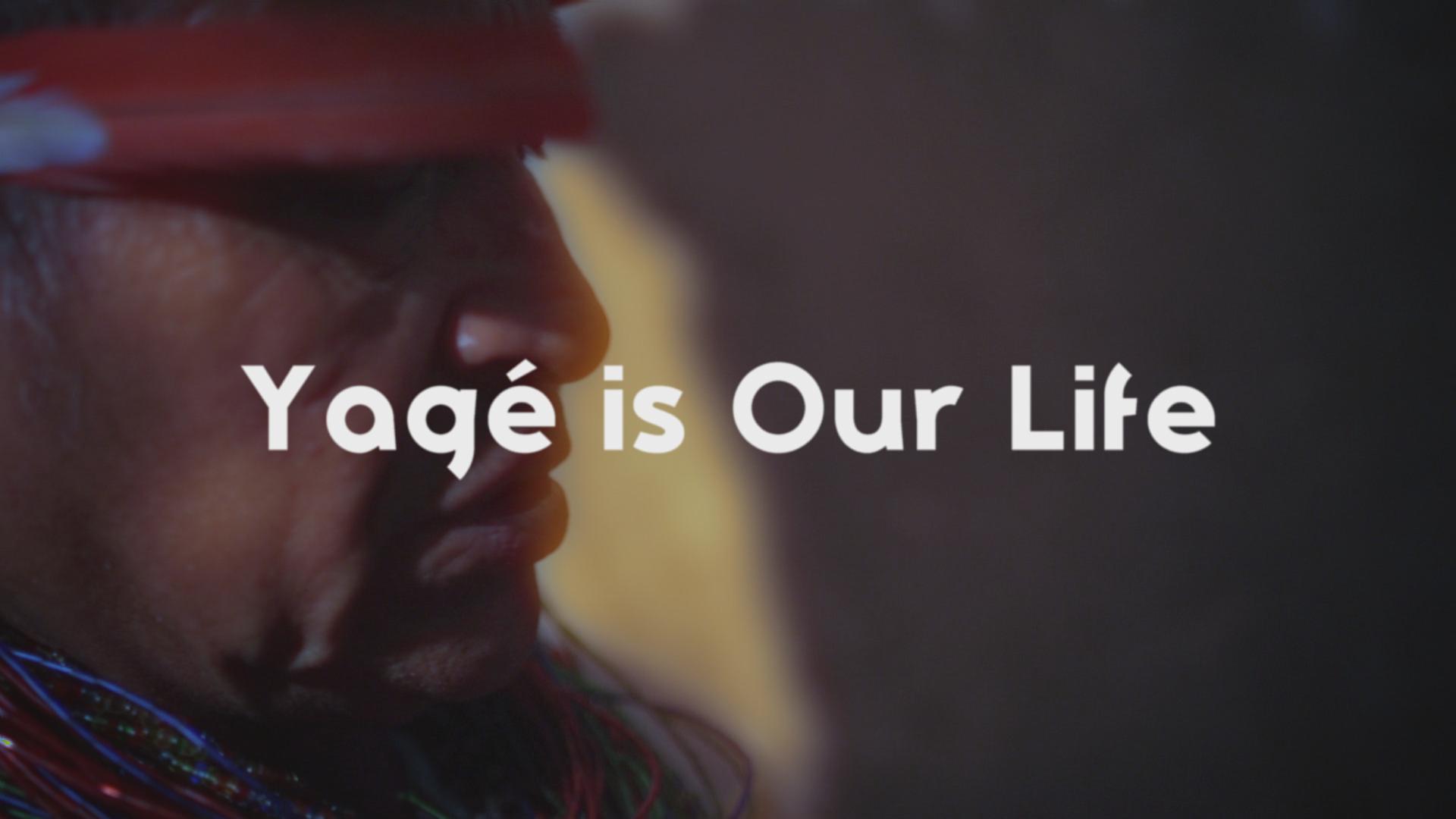 (en) Yage is Our Life – a film about the indigenous people of Putumayo ...